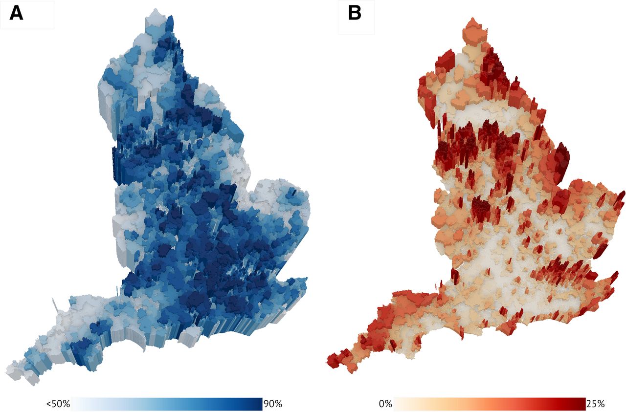 Quantifying digital health inequality across a national healthcare ...