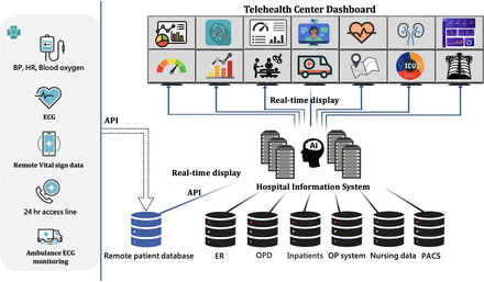 Implementing an integrated multidisciplinary telehealth platform: a case study at Taichung ...